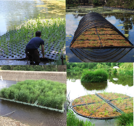 Floating Wetlands: A Cost-Effective, Nature-Based Solution | Conscious ...